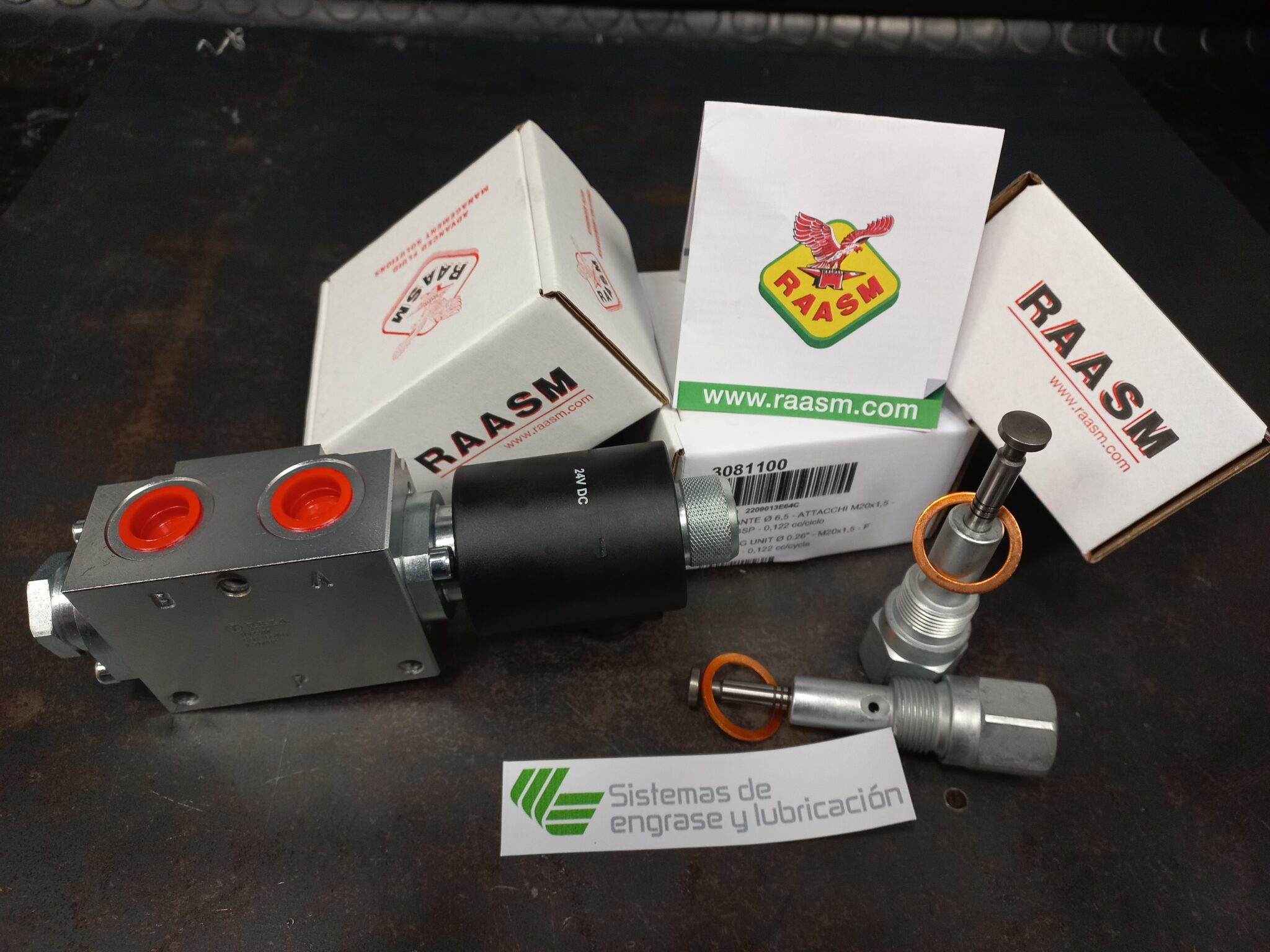 SISTEMA DE ENGRASE RAASM CONTROL ELECTRO VALVULA